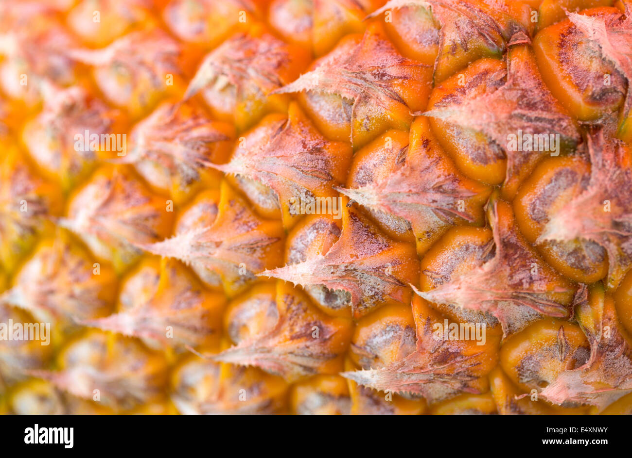 Detail pineapple close-up Stock Photo - Alamy