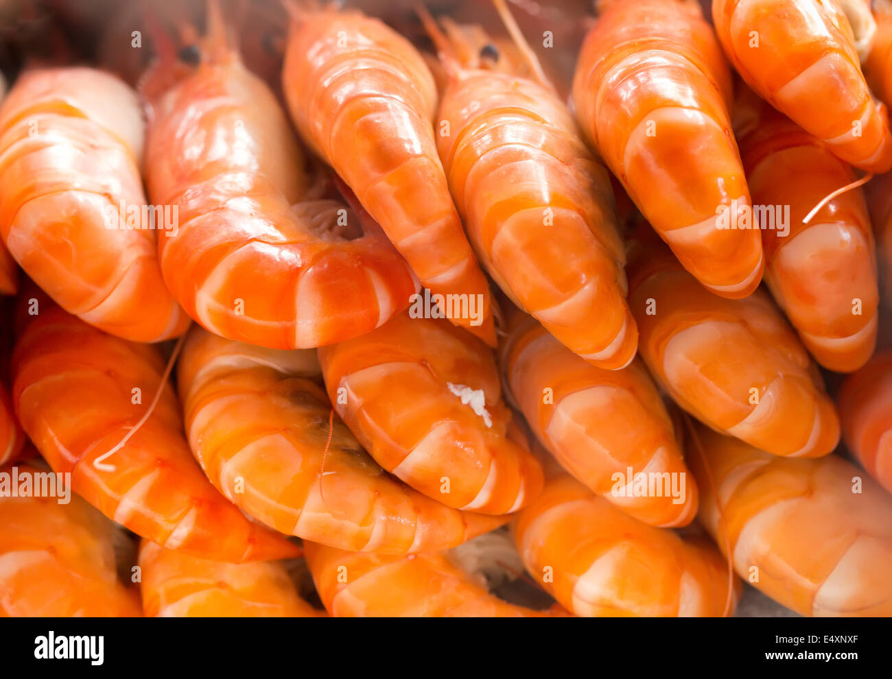 Cooked king prawns hi-res stock photography and images - Alamy