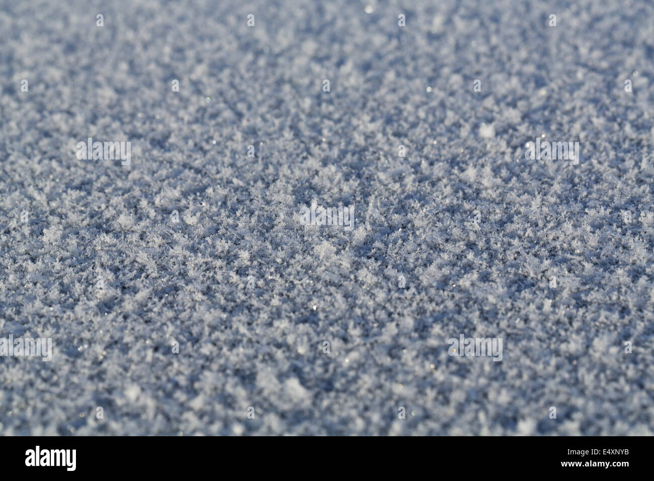 Frost effect hi-res stock photography and images - Alamy