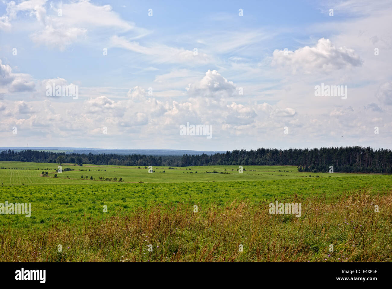 Landscape with rural view. Sunny day Stock Photo - Alamy