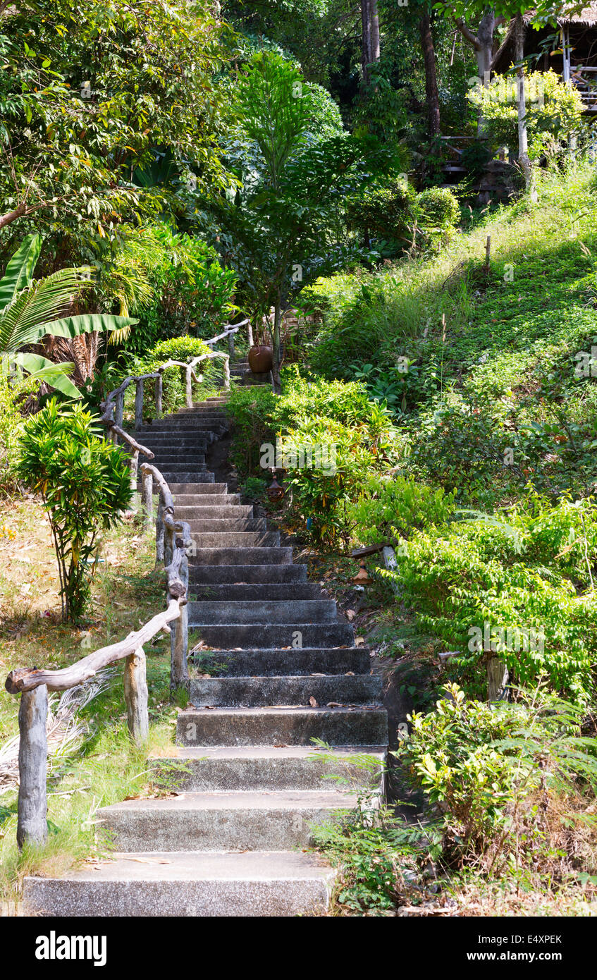 Stairway jungle hi-res stock photography and images - Alamy