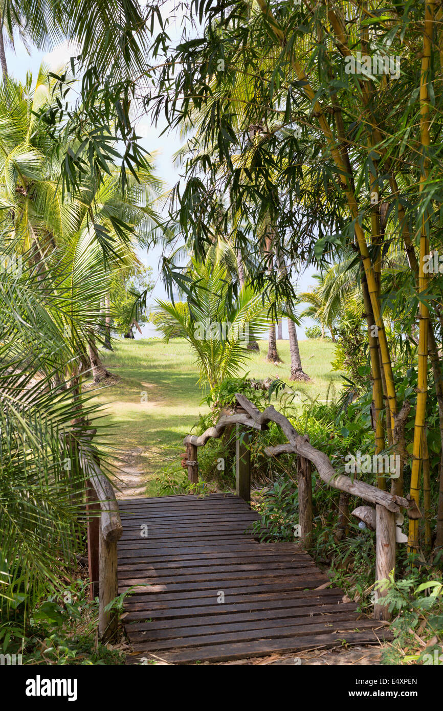 wooden bridge in the jungle Stock Photo - Alamy