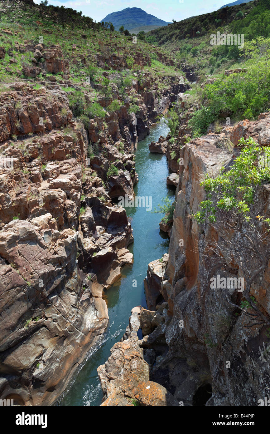 Scenic stream flowing through vibrant hi-res stock photography and ...