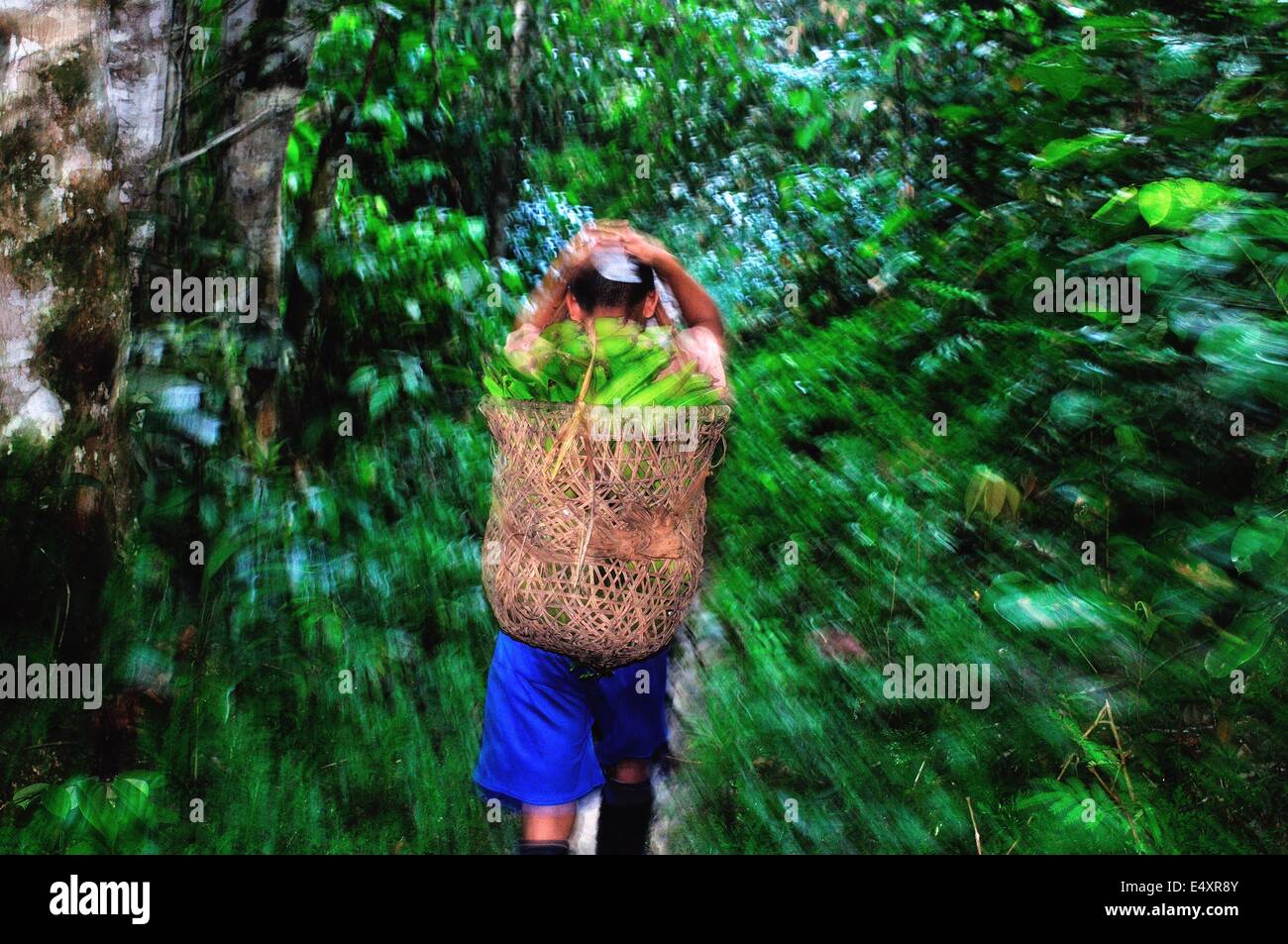 Indigenous people peru rainforest hi-res stock photography and images ...