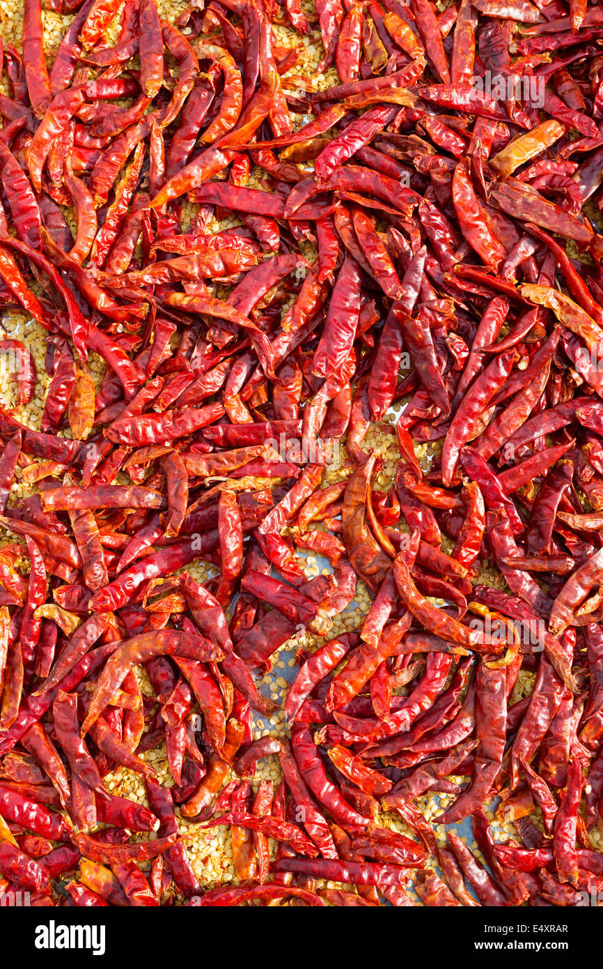 Dry red chili pepper background Stock Photo - Alamy