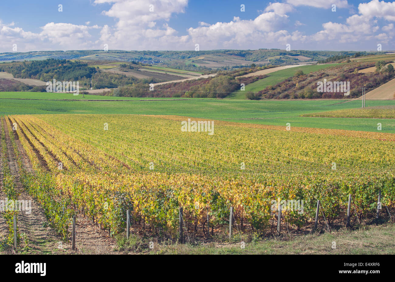 Burgundy france vineyard hi-res stock photography and images - Alamy