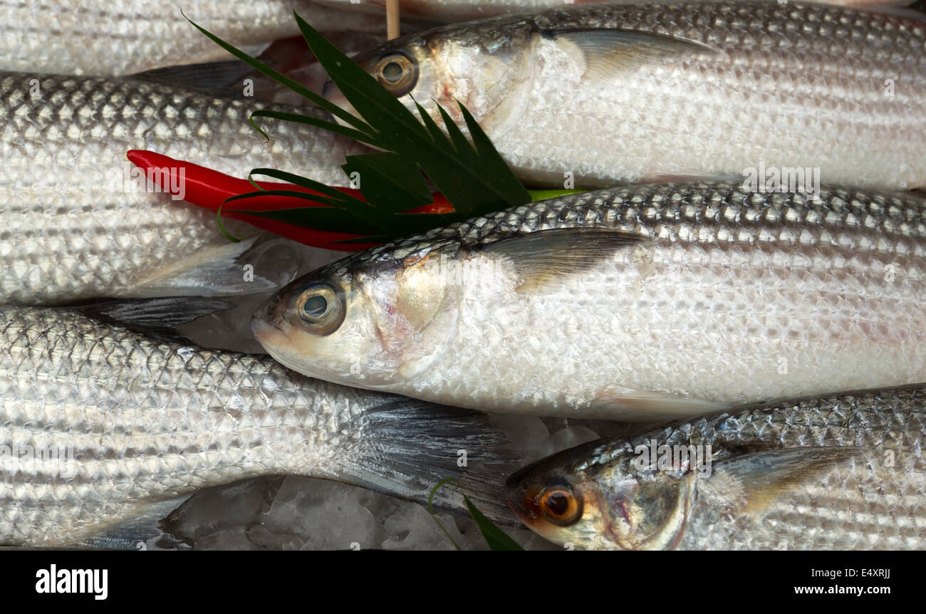 fresh fish on ice with chili Stock Photo - Alamy