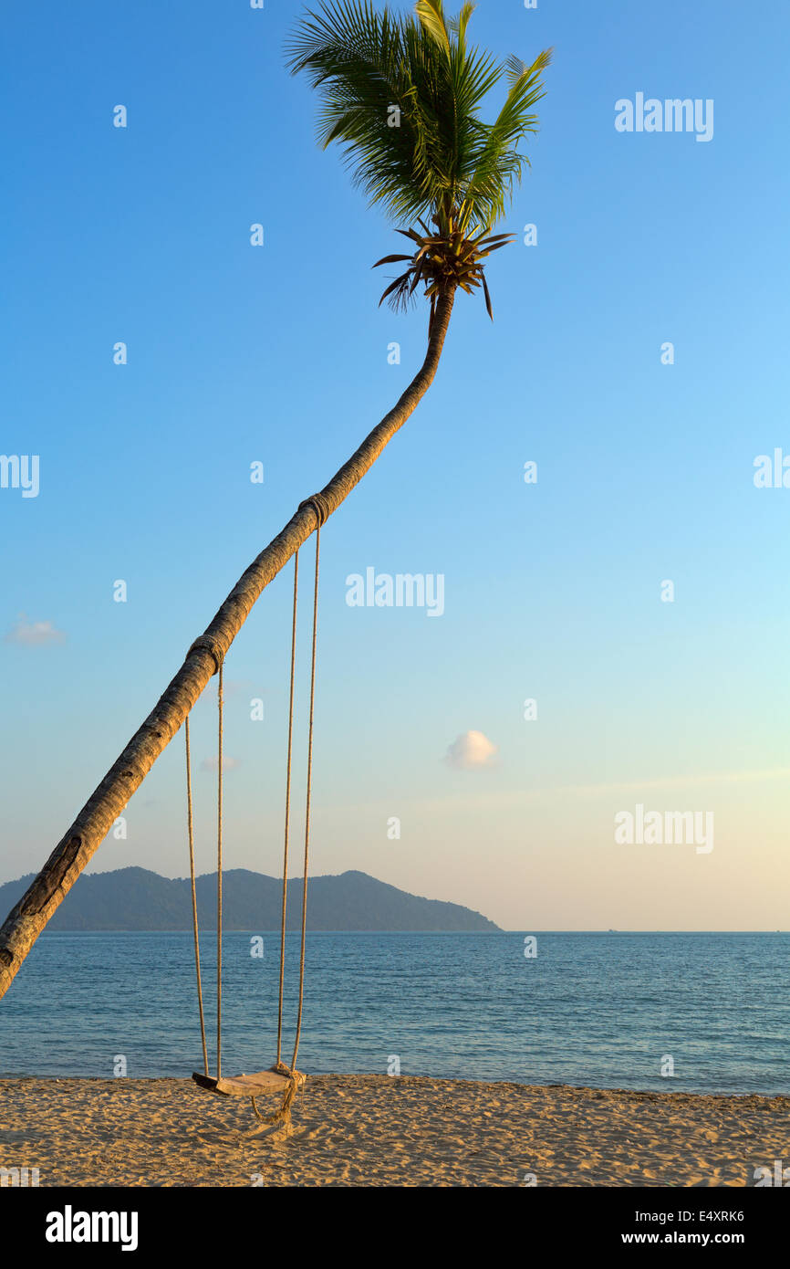 Swing hanging on palm hi-res stock photography and images - Alamy