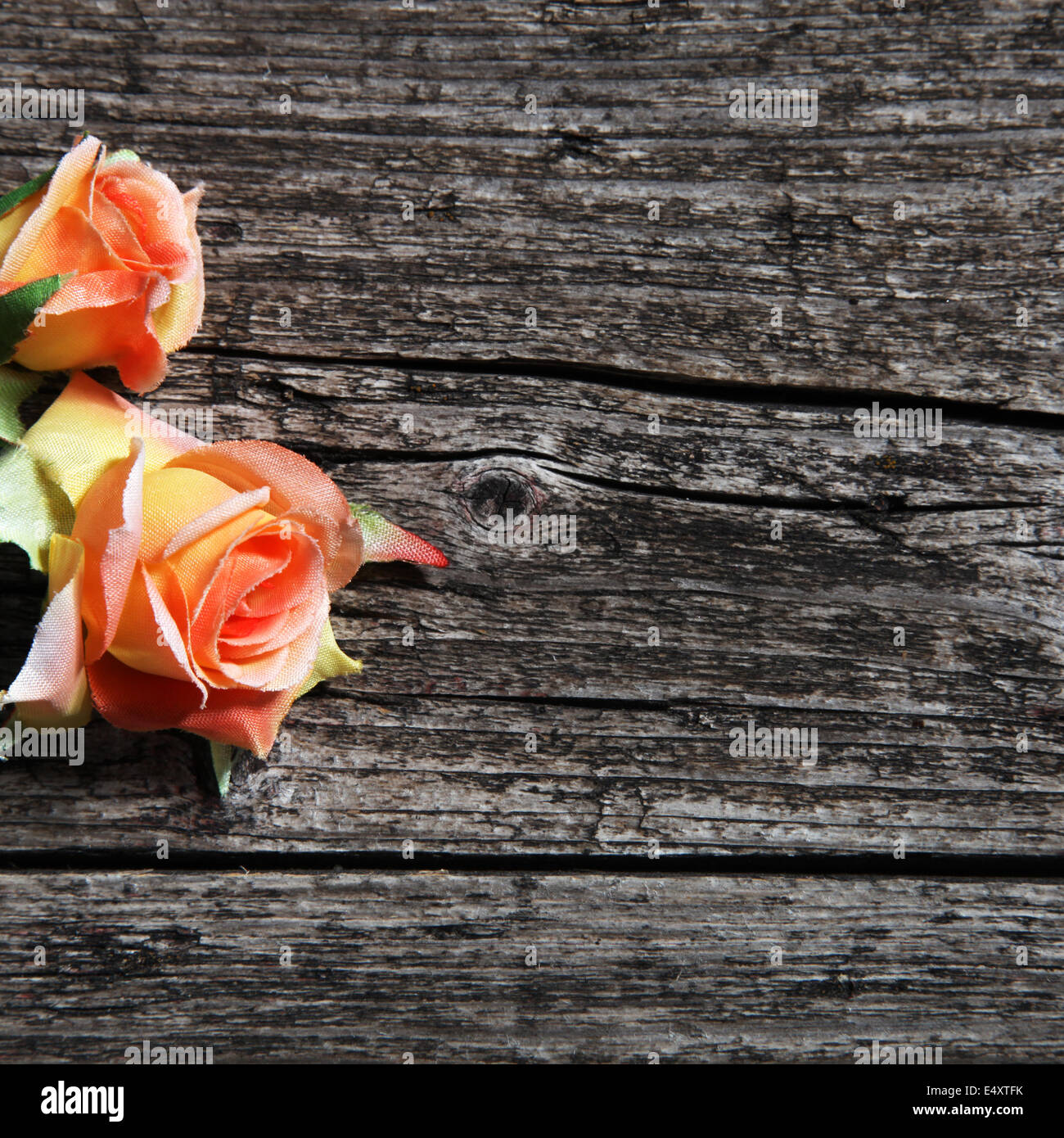 Orange coloured roses on wooden planks Stock Photo - Alamy