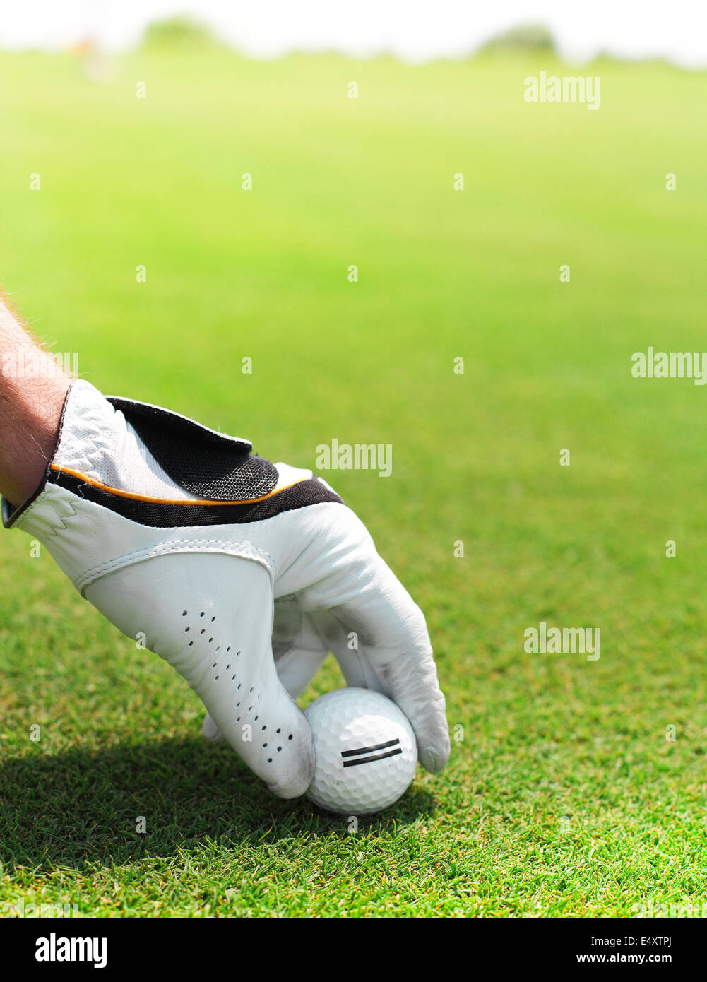 Golf player man holding golf ball Stock Photo - Alamy
