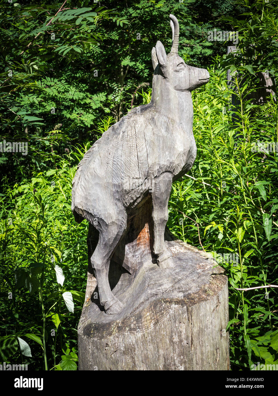 A wooden sculpture of an ibex, carved from a tree trunk, along a nature ...