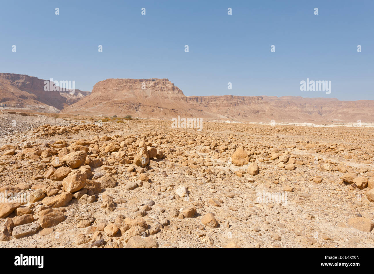 Noon in Desert Stock Photo - Alamy