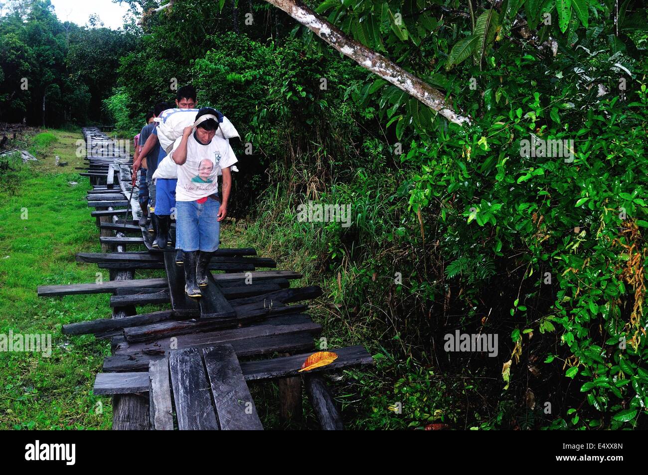 Traditional bridge in PANGUANA . Department of Loreto .PERU Stock Photo ...