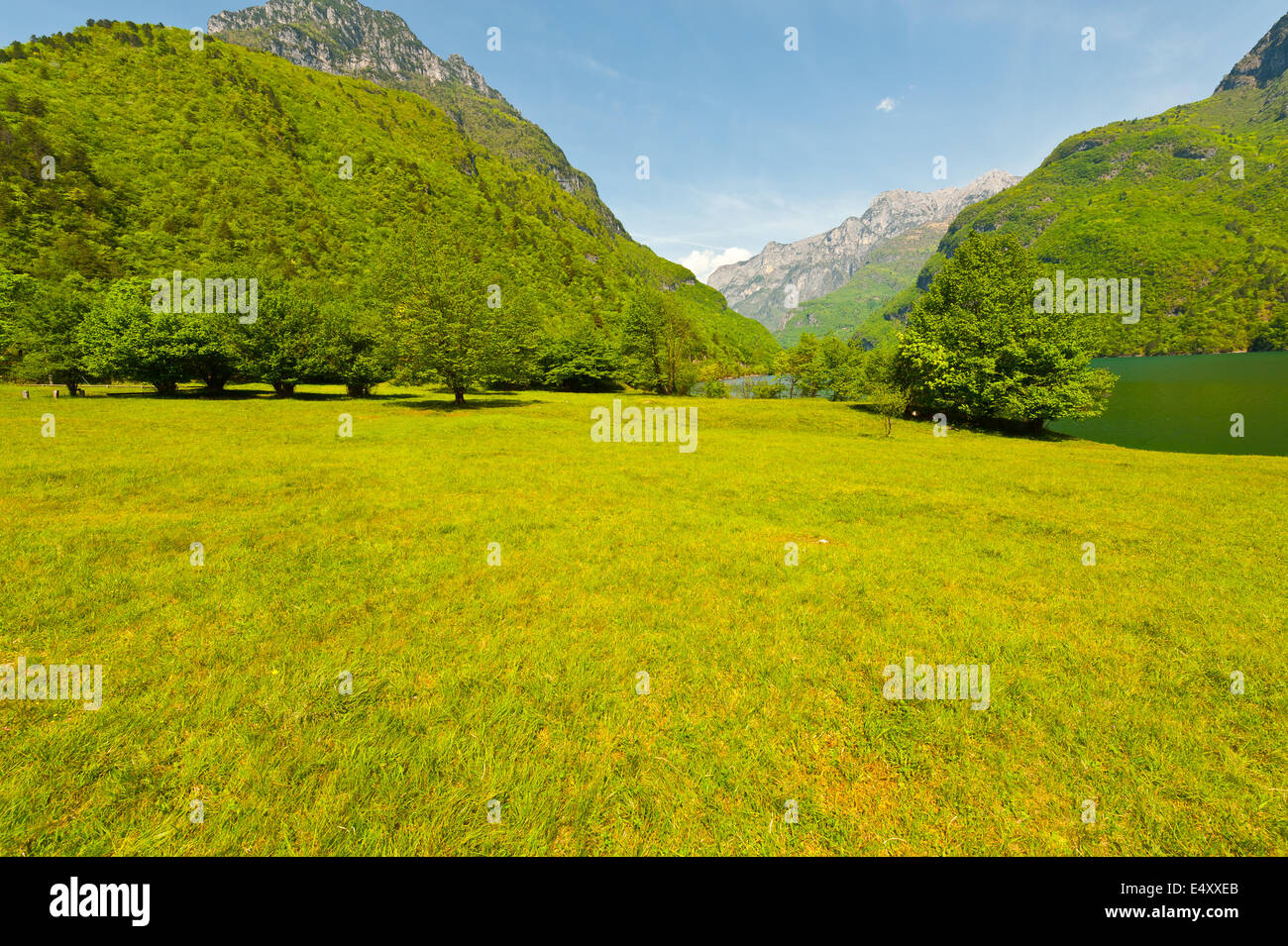 Alpine lakeside hi-res stock photography and images - Alamy