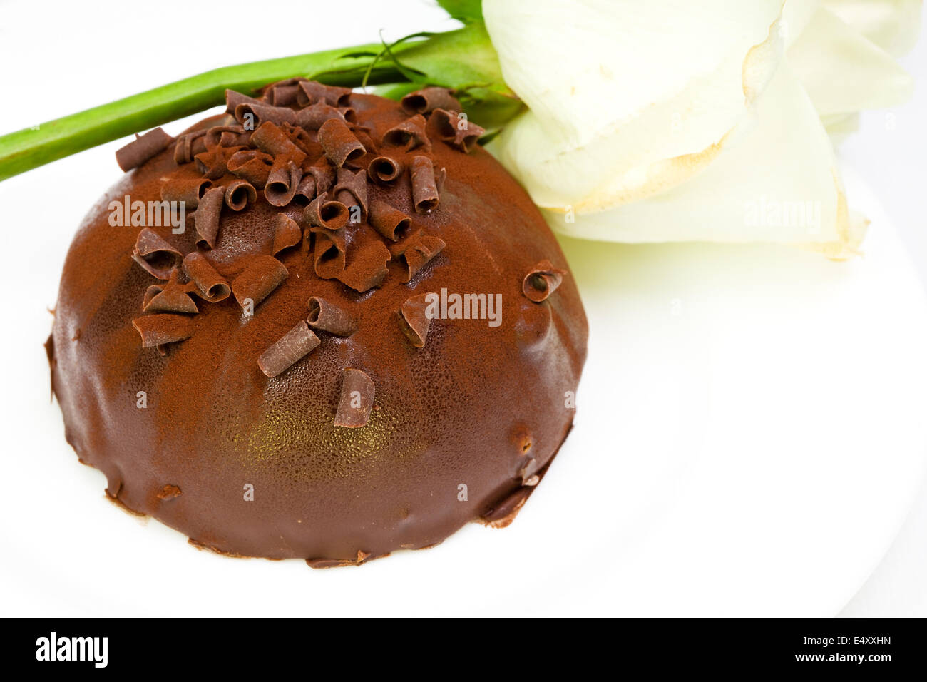 Chocolate cake and white rose Stock Photo - Alamy