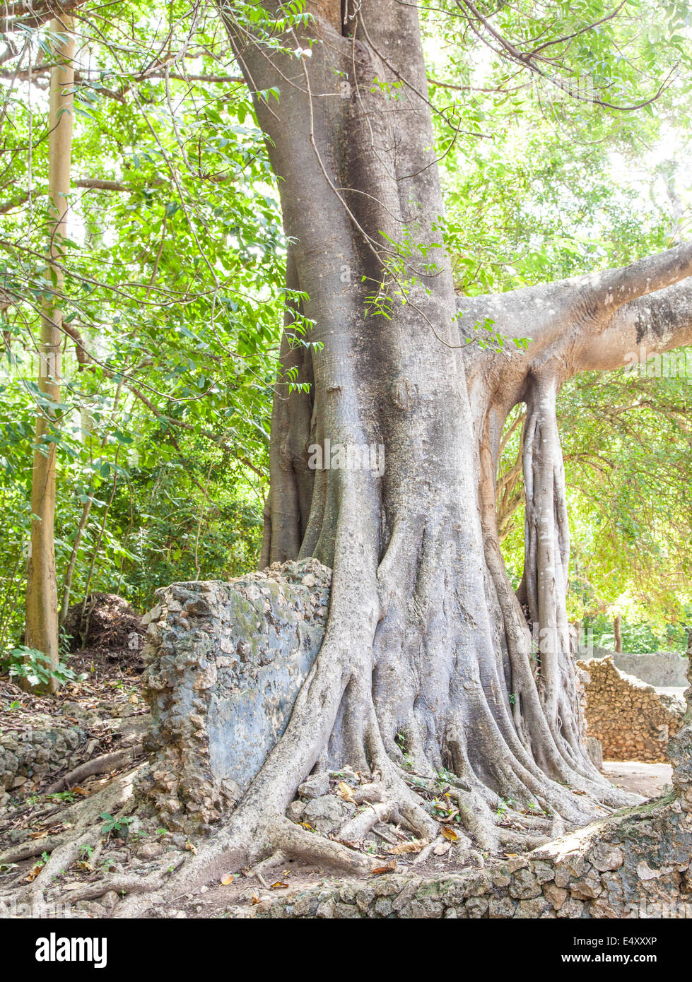 Gede ruins hi-res stock photography and images - Alamy