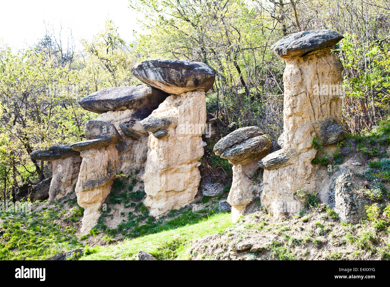 Imaginative forest landscape Stock Photo - Alamy