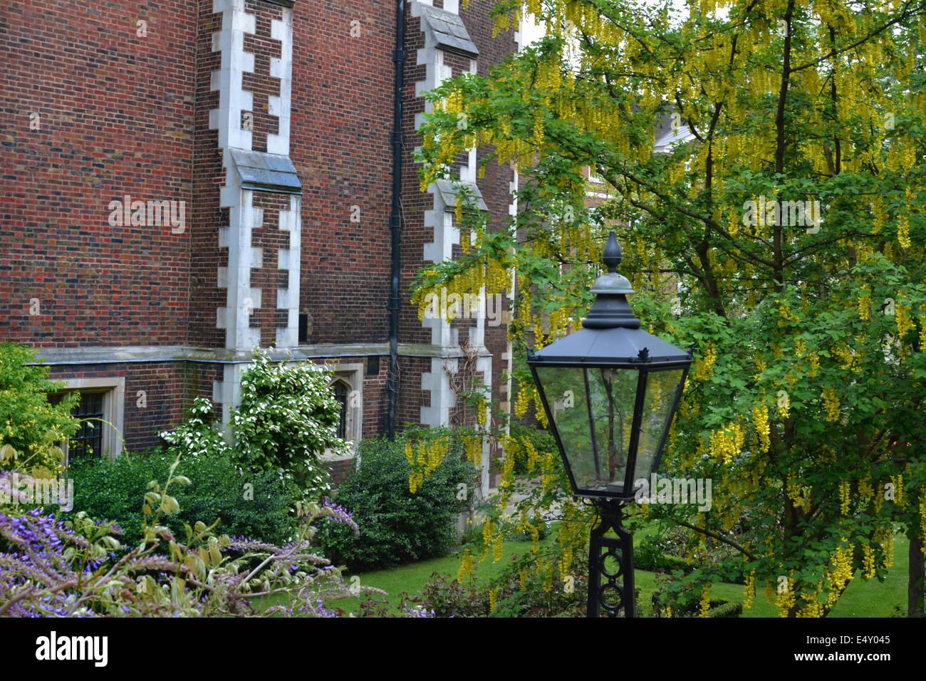 Scene tree hi-res stock photography and images - Alamy