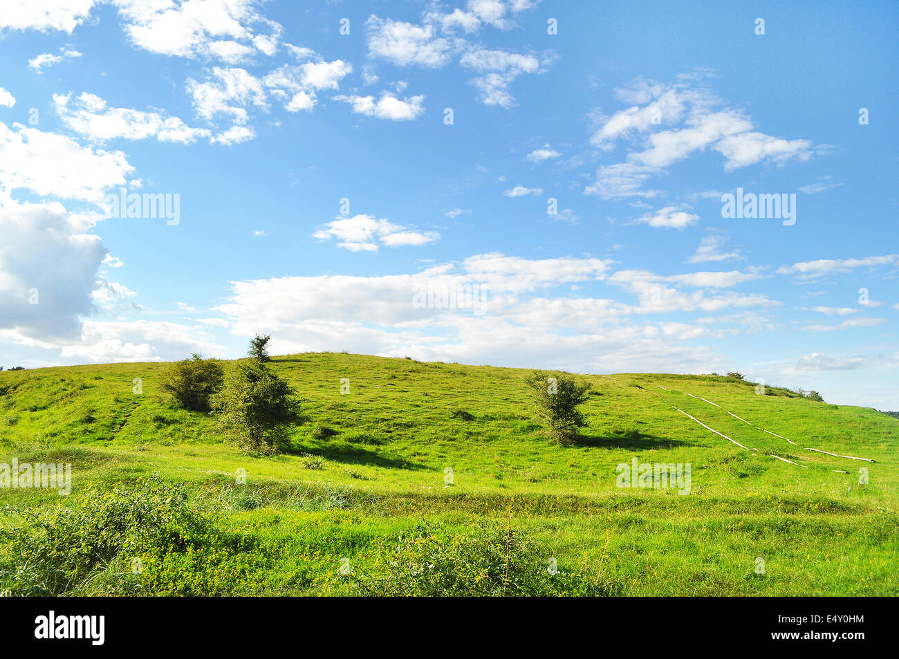 Windows xp hi-res stock photography and images - Alamy