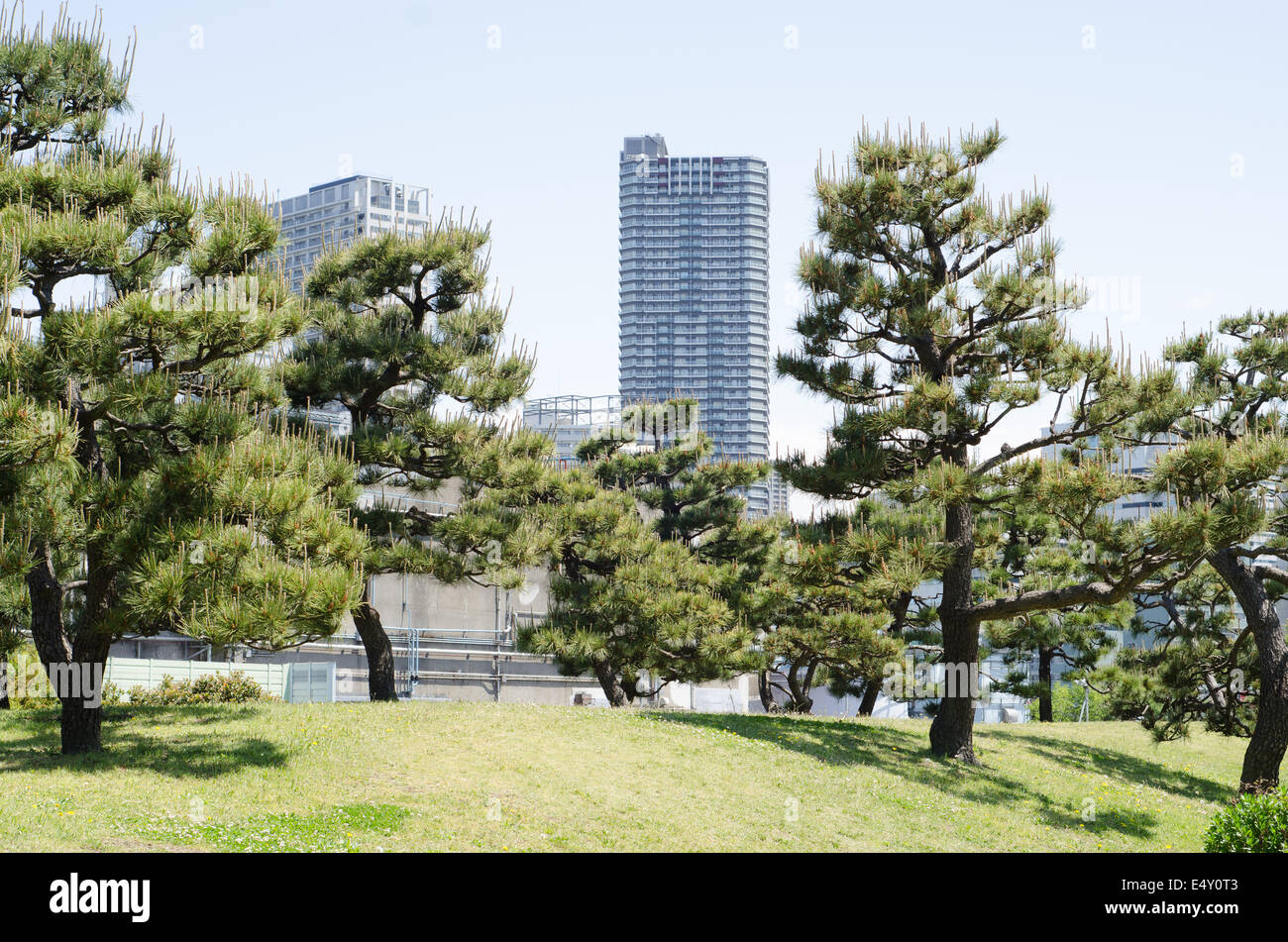 Skyscrapers and japanese garden in Tokyo Japan Stock Photo - Alamy