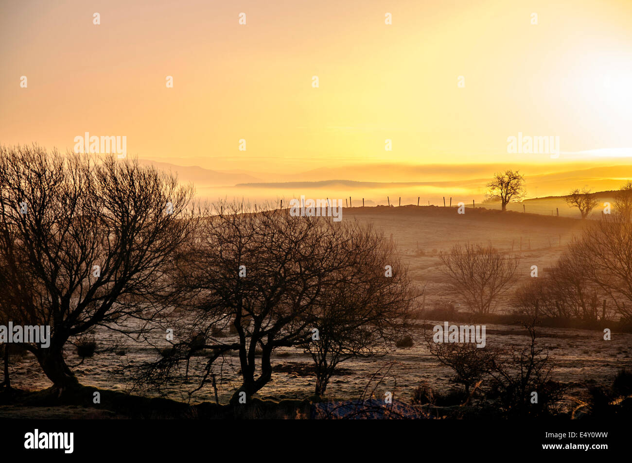 Frosty winter morning sunrise in Donegal Ireland Stock Photo - Alamy