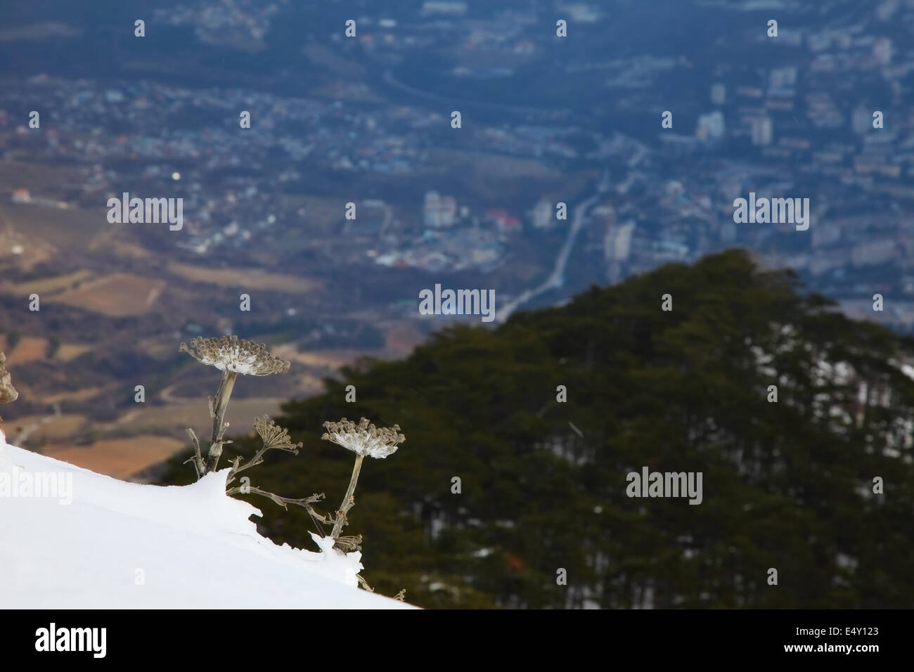 Evergreen landscapes hi-res stock photography and images - Alamy