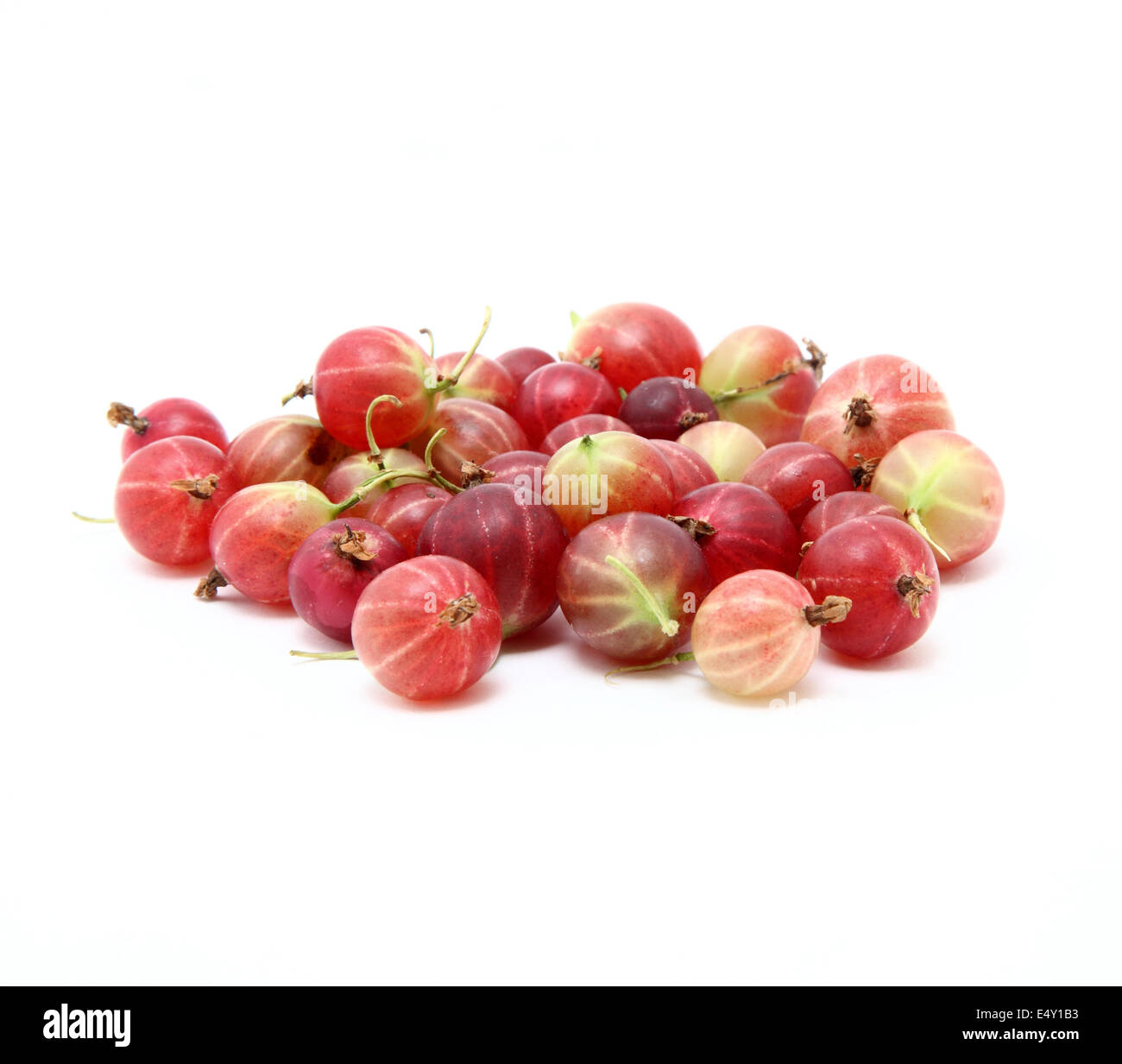 Gooseberry isolated on white background Stock Photo - Alamy