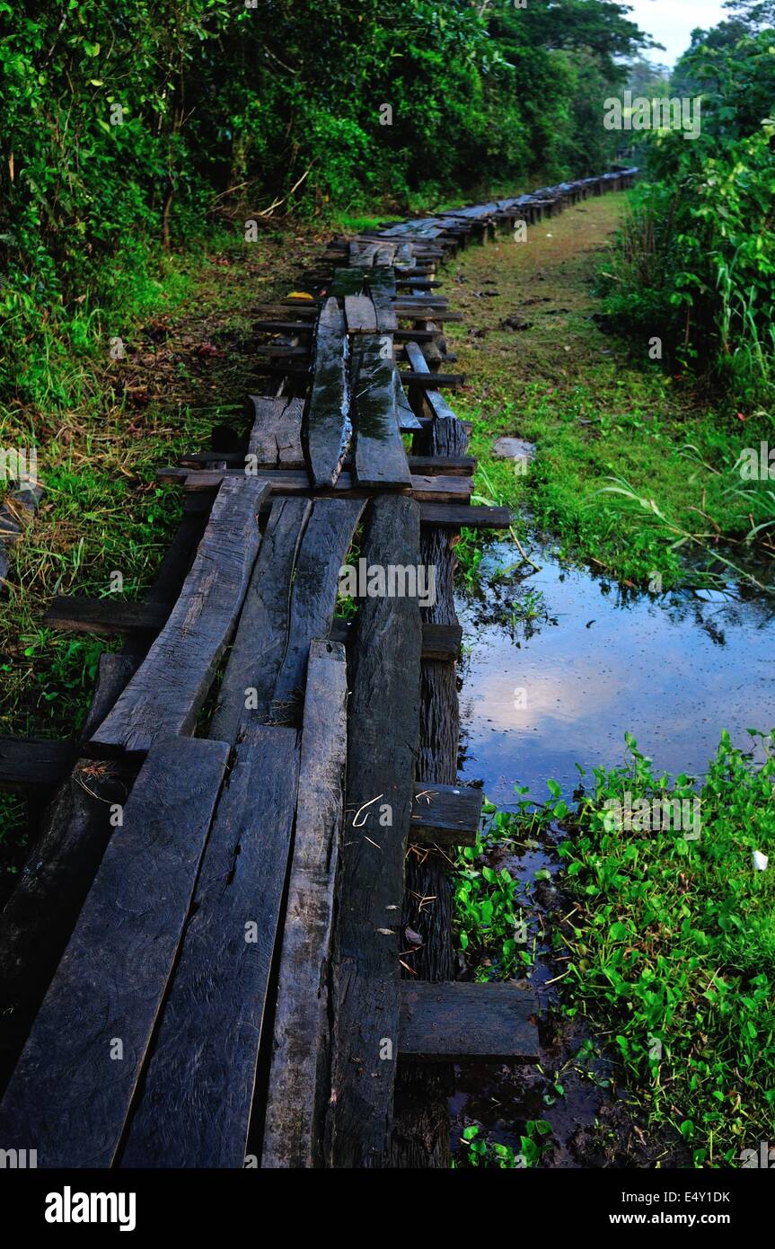 Traditional bridge in PANGUANA . Department of Loreto .PERU Stock Photo ...