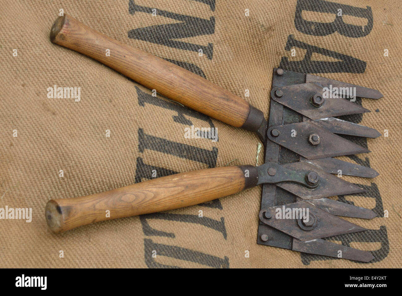 Multi bladed trimmer Stock Photo - Alamy