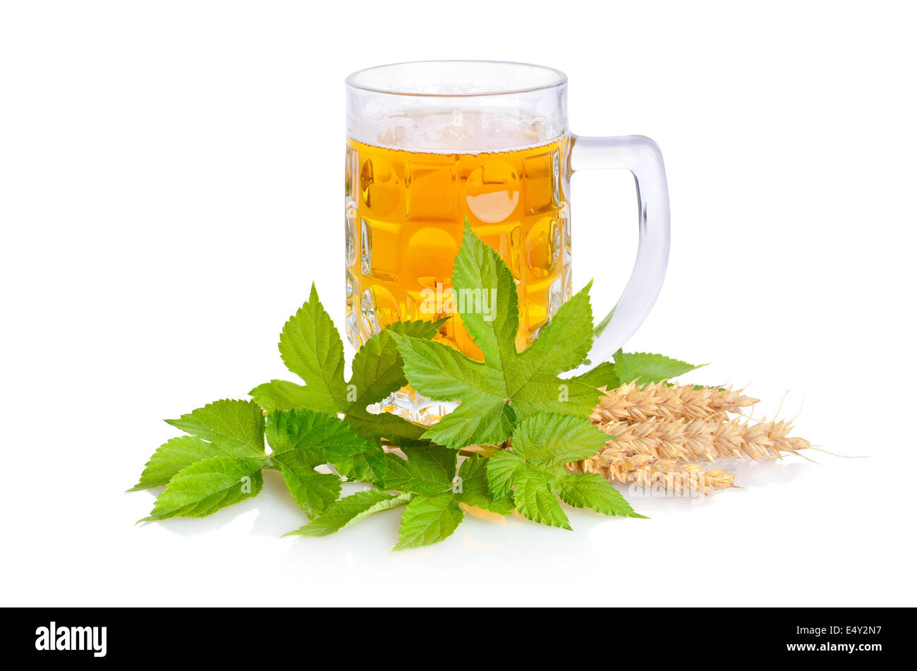 Food beer in glass hi-res stock photography and images - Alamy