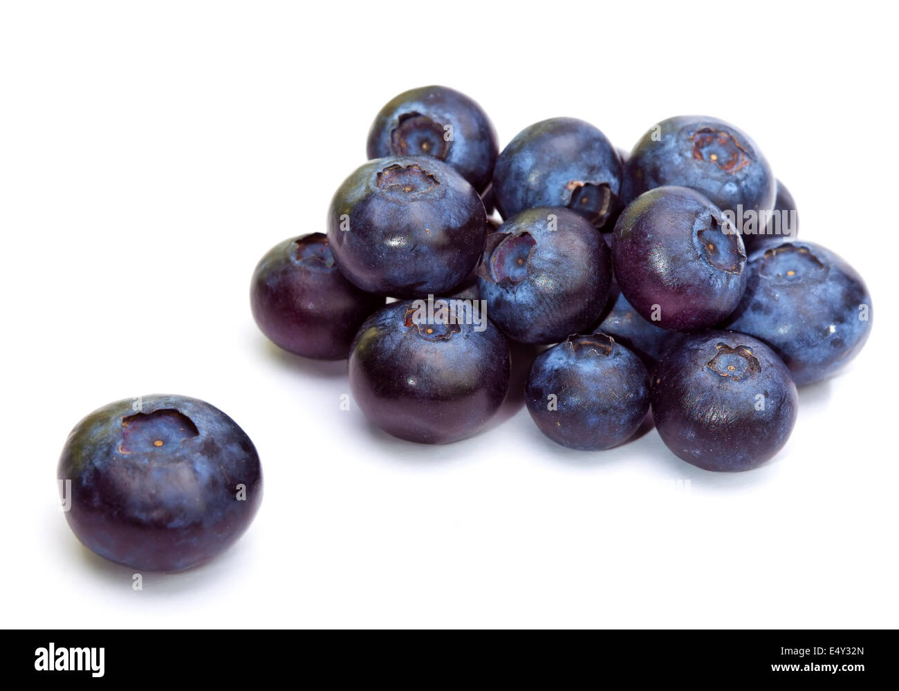 Bilberry berries, focus on back berries Stock Photo - Alamy
