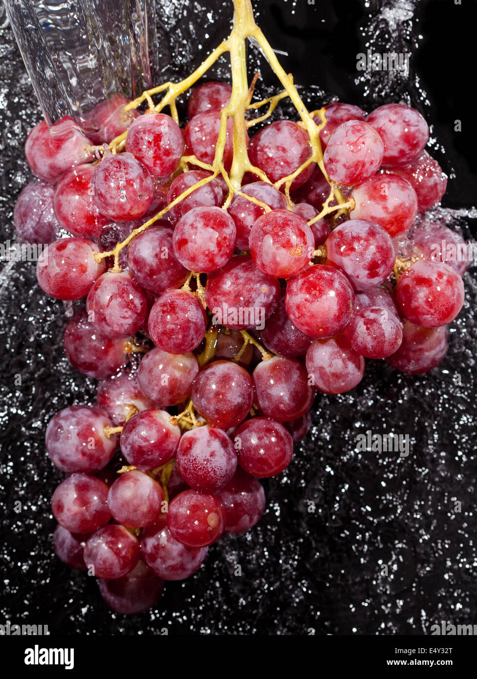 Grapes cluster in water splashes Stock Photo - Alamy