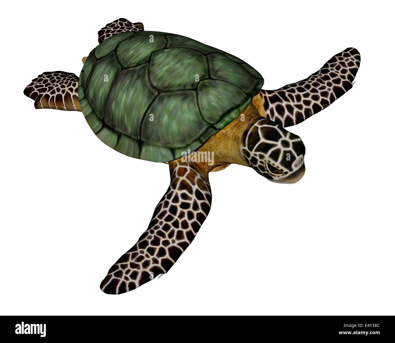 Turtle pose hi-res stock photography and images - Alamy