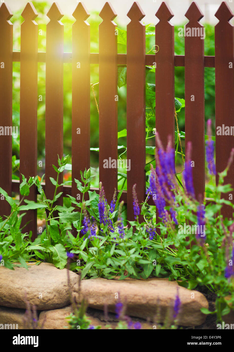 Courtyard fence hi-res stock photography and images - Alamy