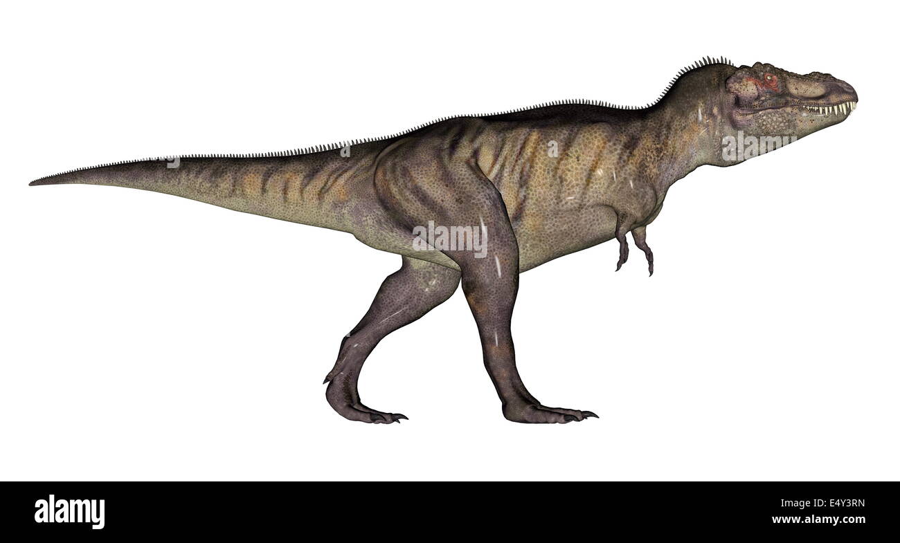 Aggressive tyrannosaurus rex dinosaur walking hi-res stock photography ...