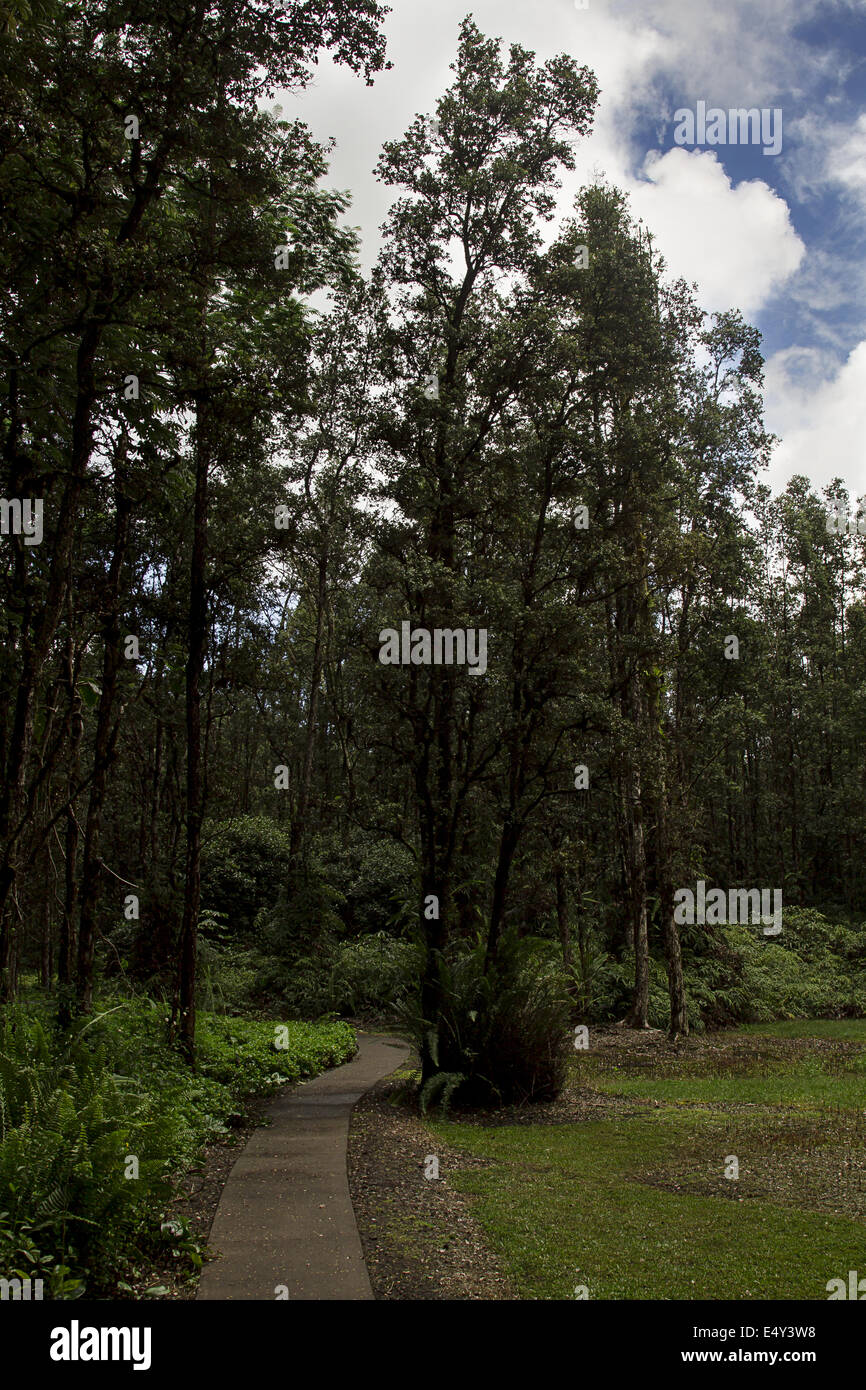 Hawaiian path hi-res stock photography and images - Alamy
