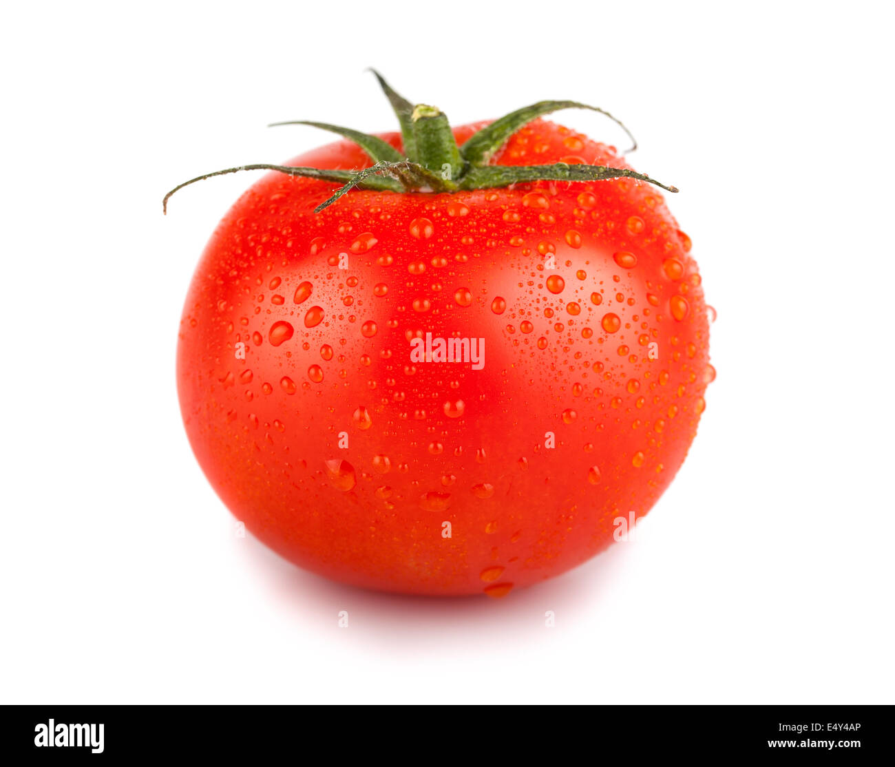 Single red tomato with water drops Stock Photo - Alamy