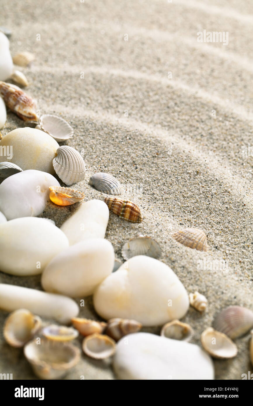 Sand and Shells Stock Photo - Alamy
