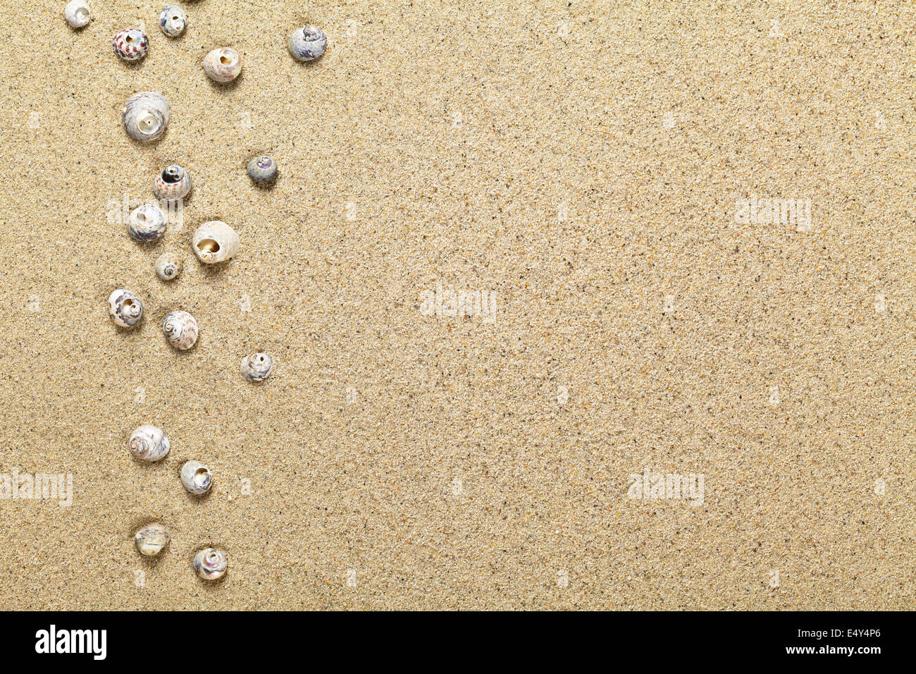 Shells On Sand Stock Photo - Alamy