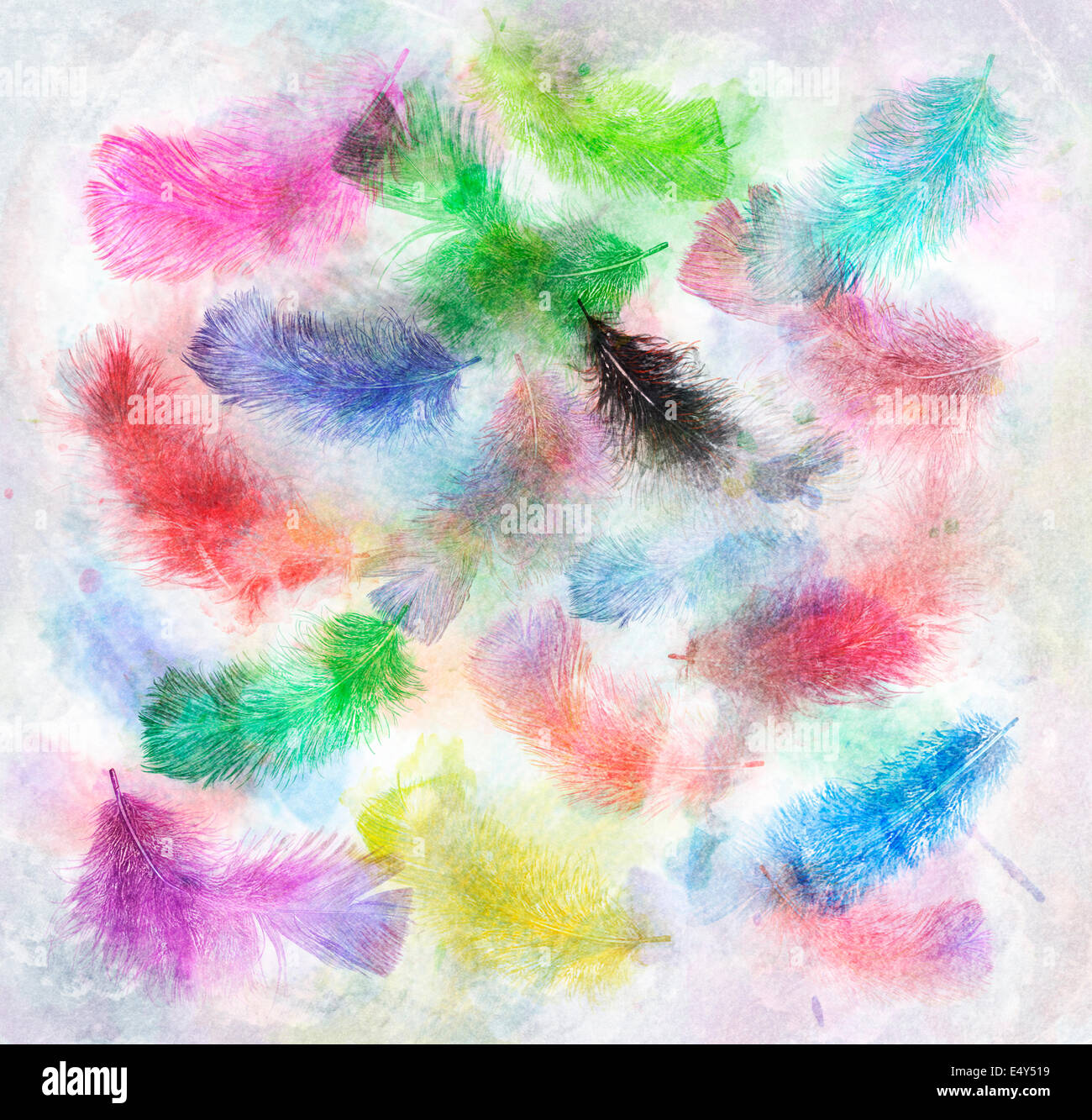 Watercolor Digital Painting Of Colorful Feathers Stock Photo - Alamy