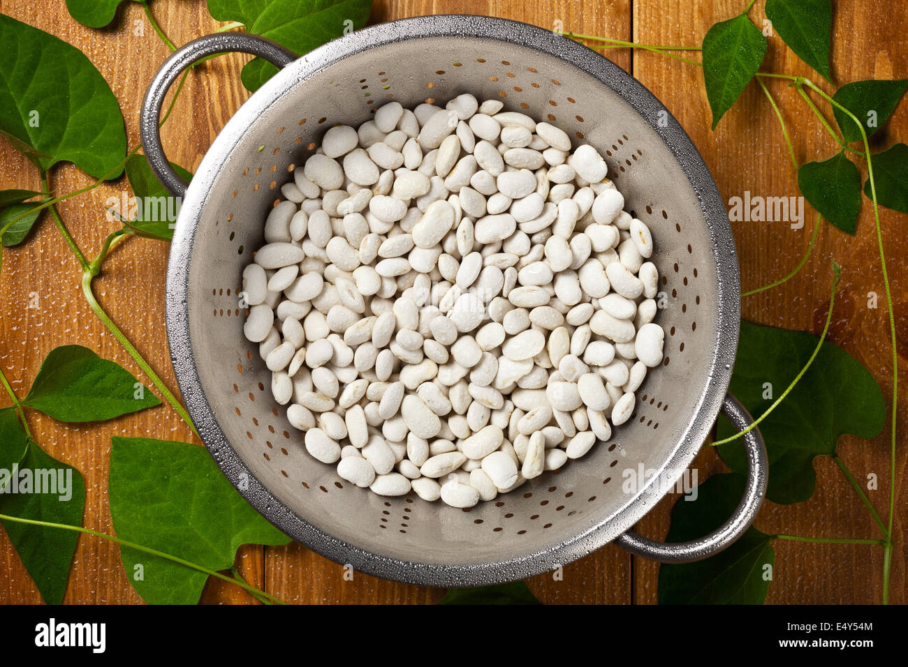 Haricot beans wet hi-res stock photography and images - Alamy