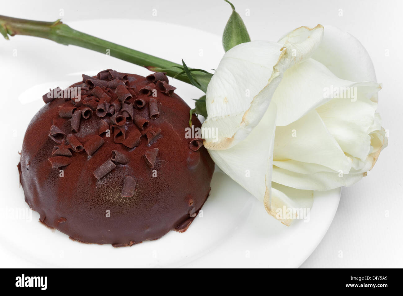 Chocolate cake and white rose Stock Photo - Alamy