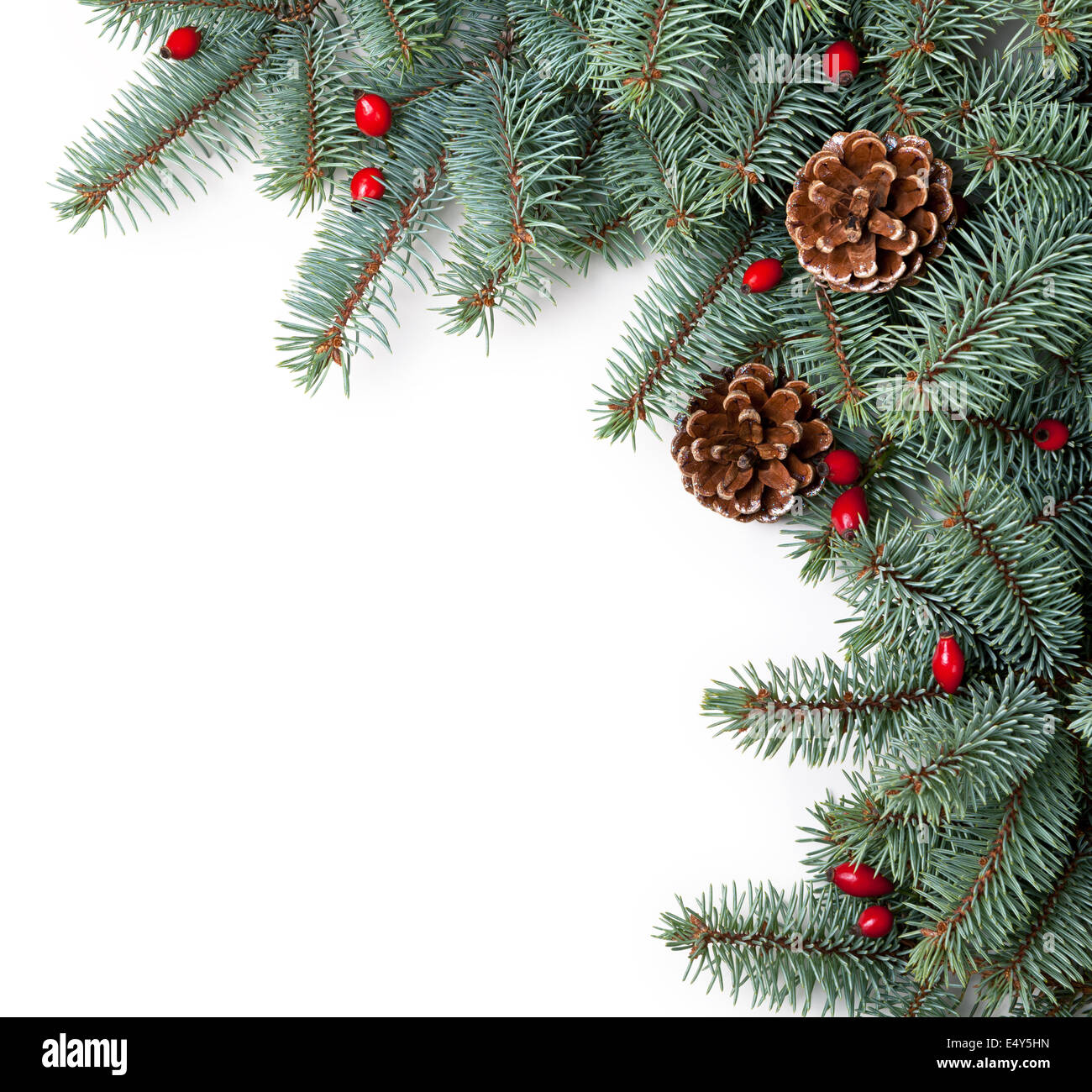 Spruce corner hi-res stock photography and images - Alamy