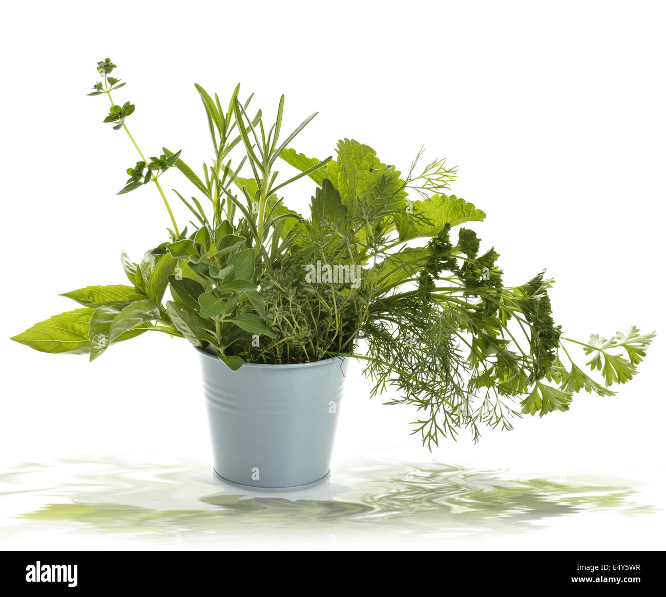 Closeup of herbs Cut Out Stock Images & Pictures - Alamy