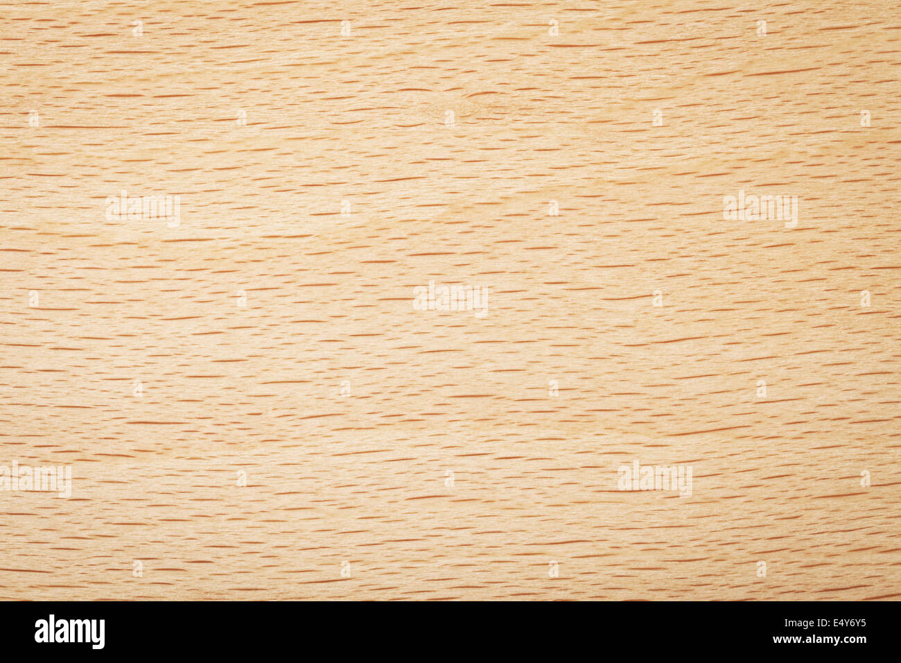 Beech wood texture hi-res stock photography and images - Alamy
