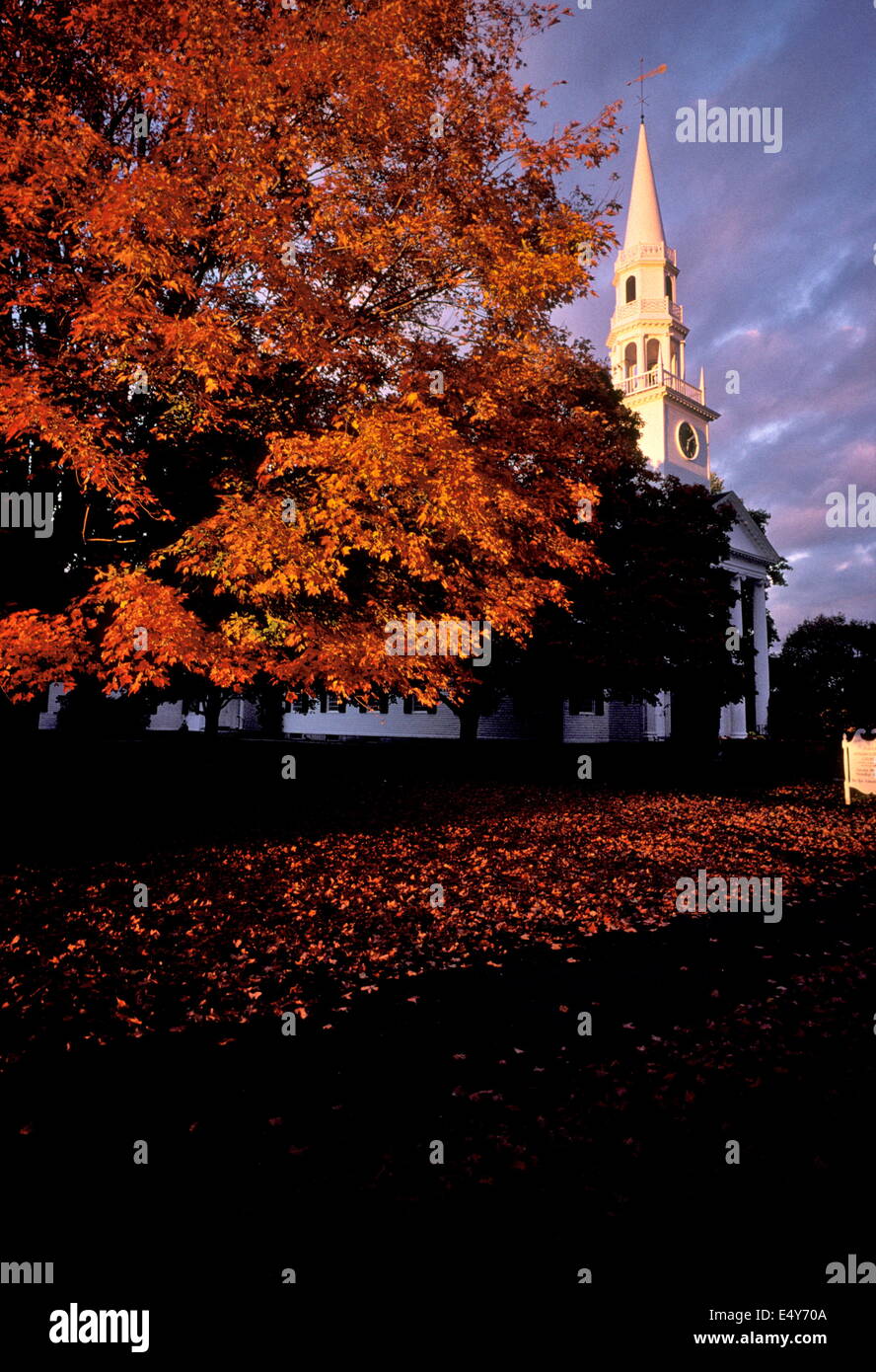 AJAXNETPHOTO. LITCHFIELD, CT. USA. - FALL FOLIAGE IN LAST RAYS OF ...