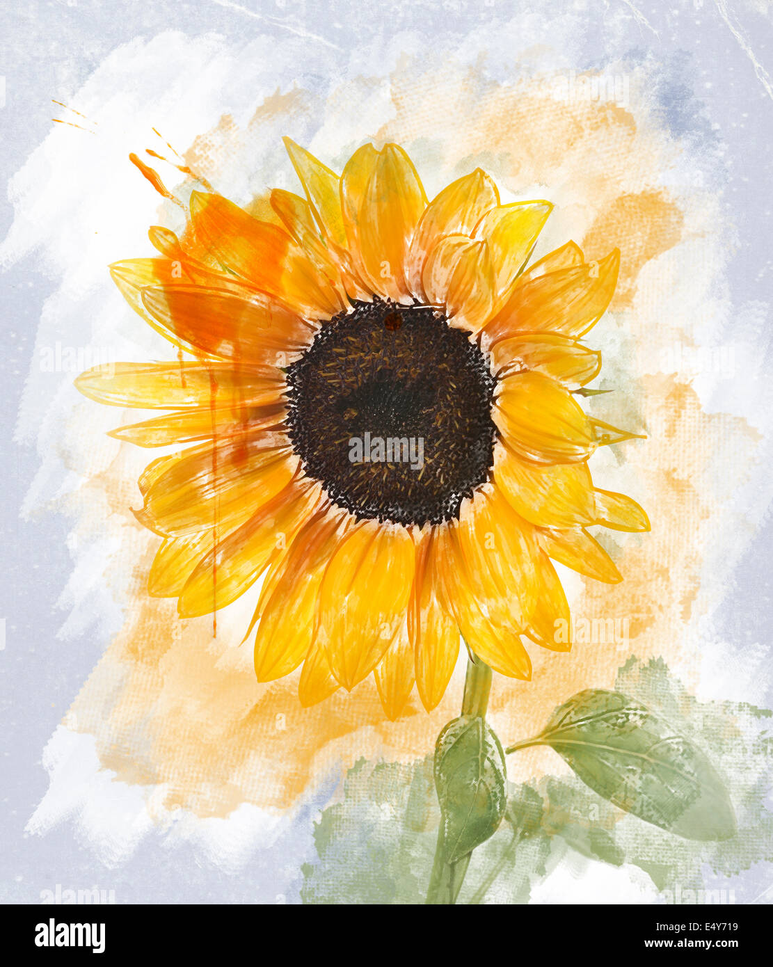 Sunflower Watercolor Tumblr