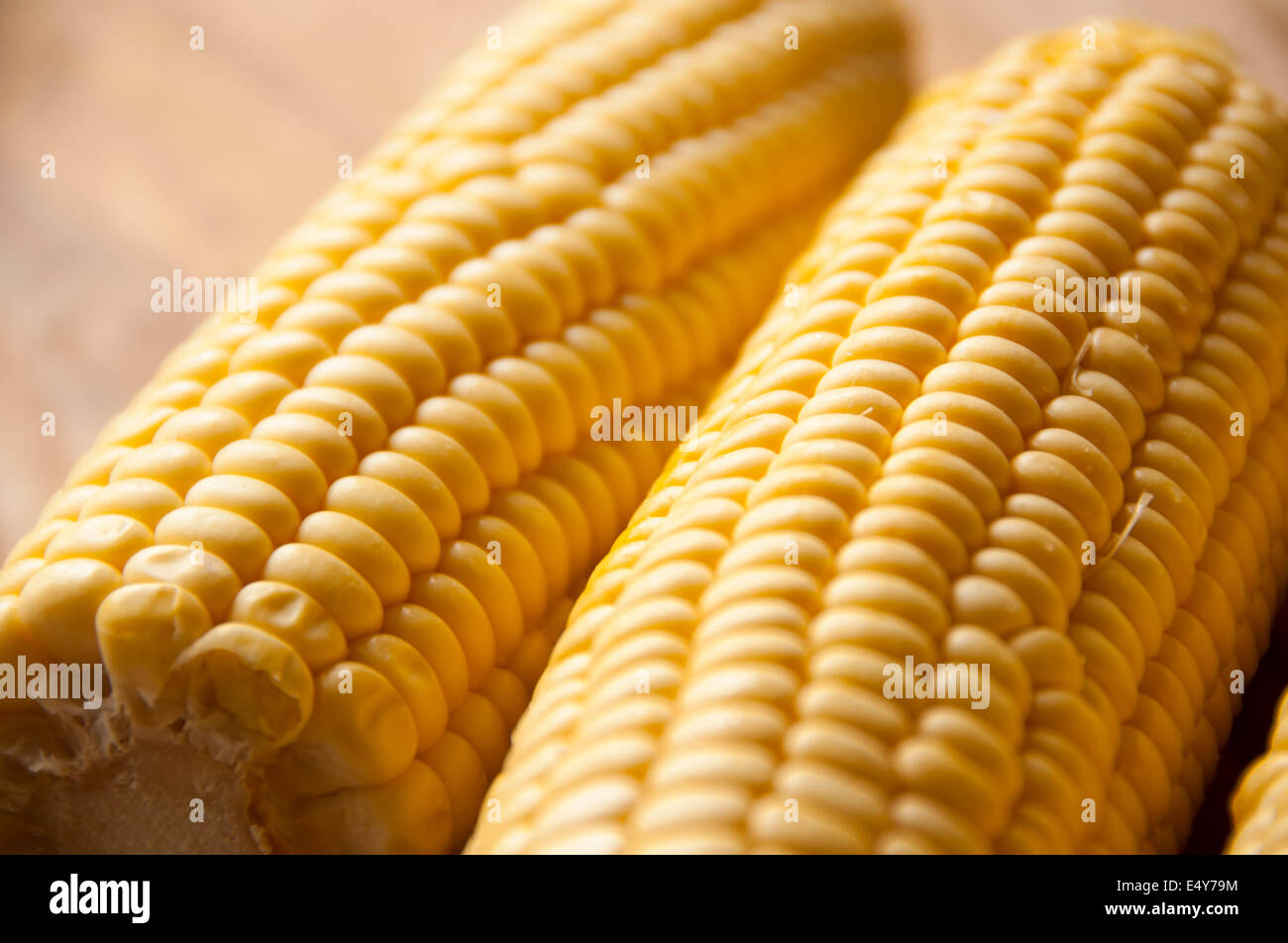 Corn on cob grown hi-res stock photography and images - Alamy