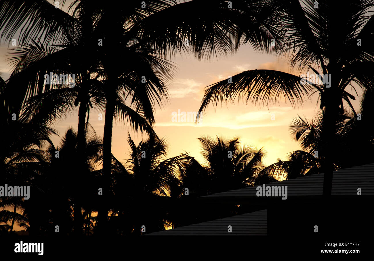 Punta Cana Sunset High Resolution Stock Photography and Images - Alamy