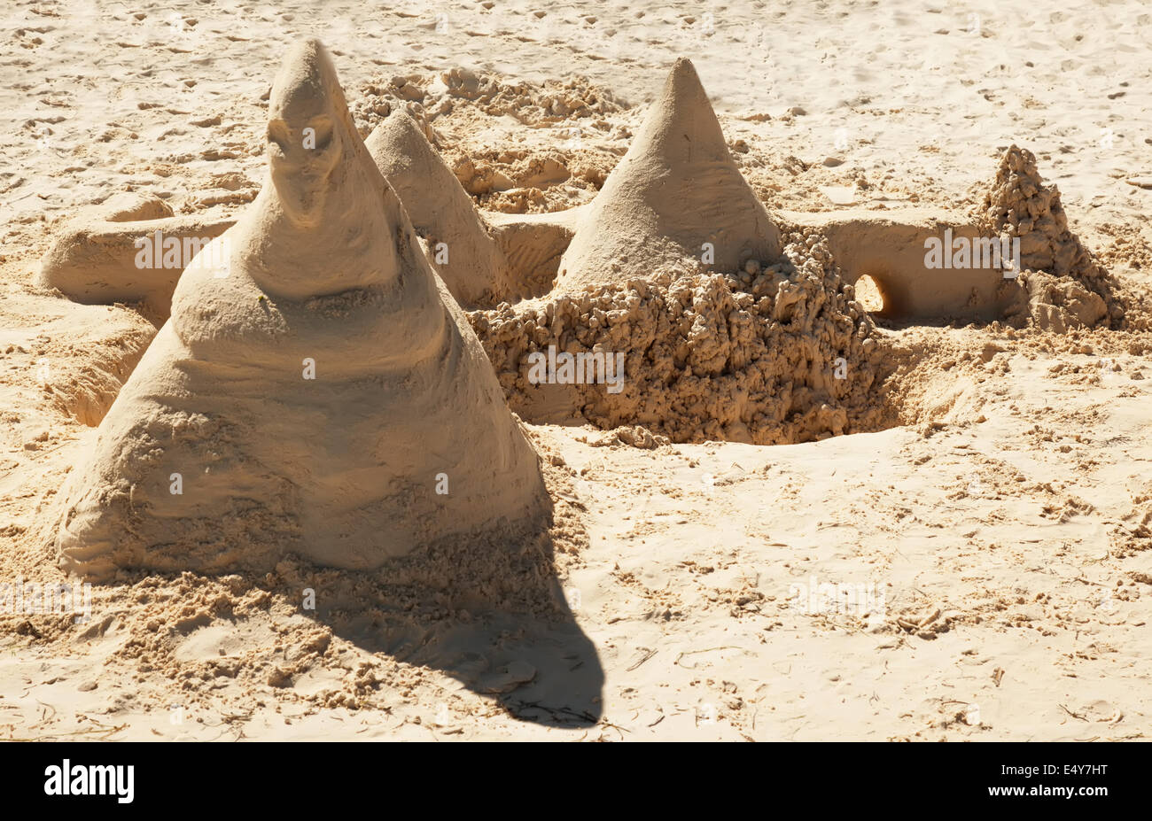 Sand snake hi-res stock photography and images - Alamy